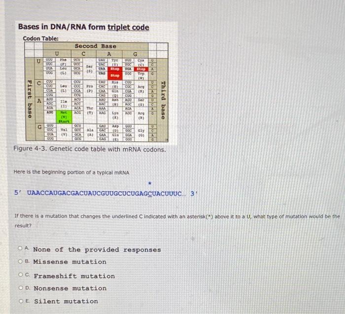 Solved Bases in DNA/RNA form triplet code Carian Tahla. | Chegg.com