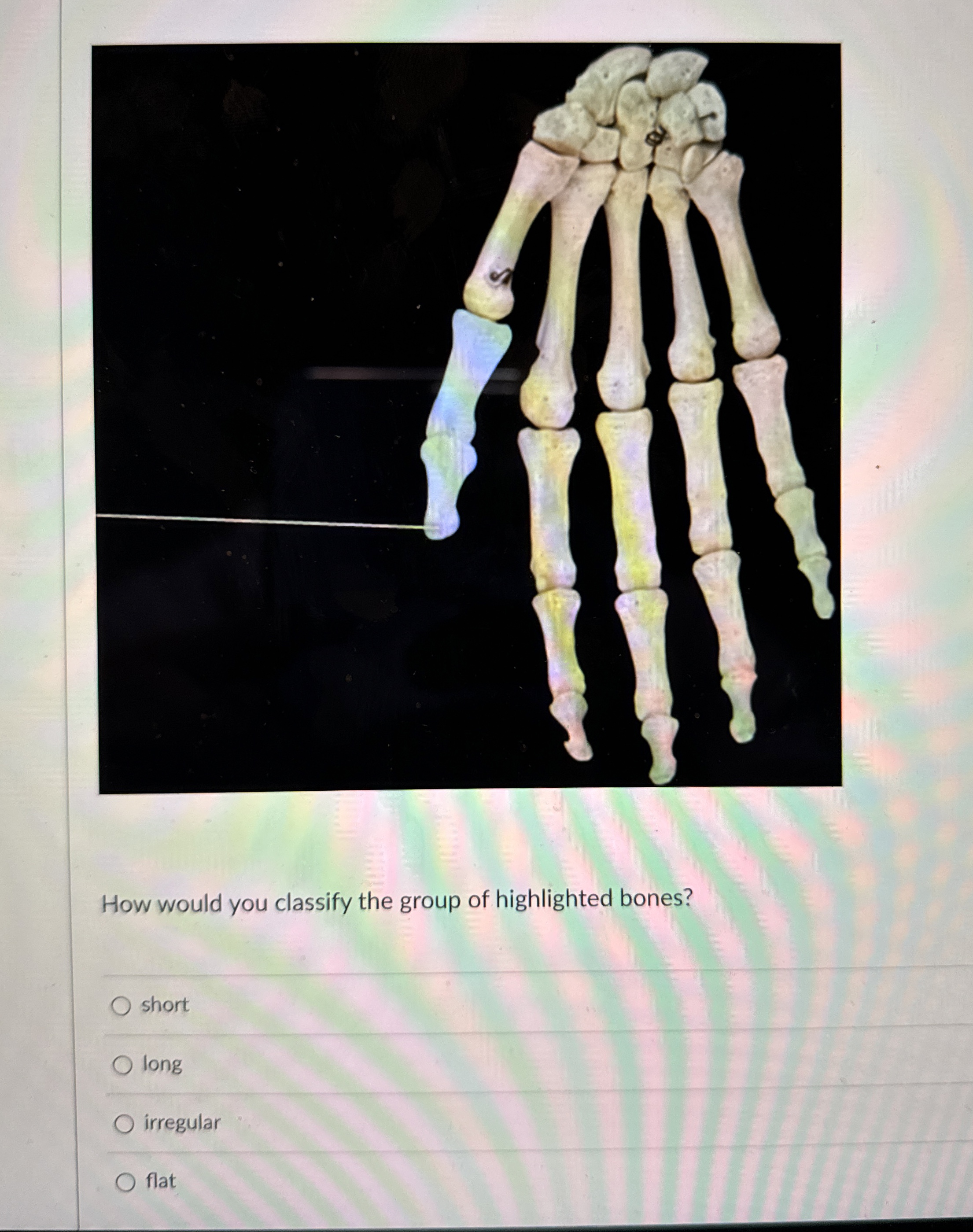 How would you classify the group of highlighted | Chegg.com