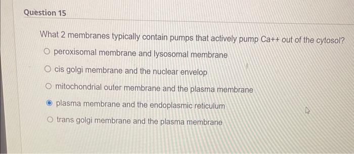 Solved What 2 membranes typically contain pumps that | Chegg.com