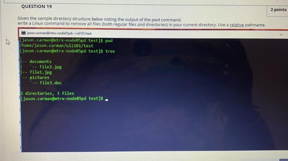 Solved QUESTION 21 Given the sample directory structure | Chegg.com