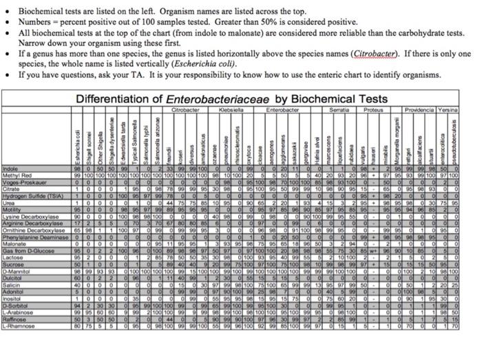 based on the lab results. What would the results be | Chegg.com