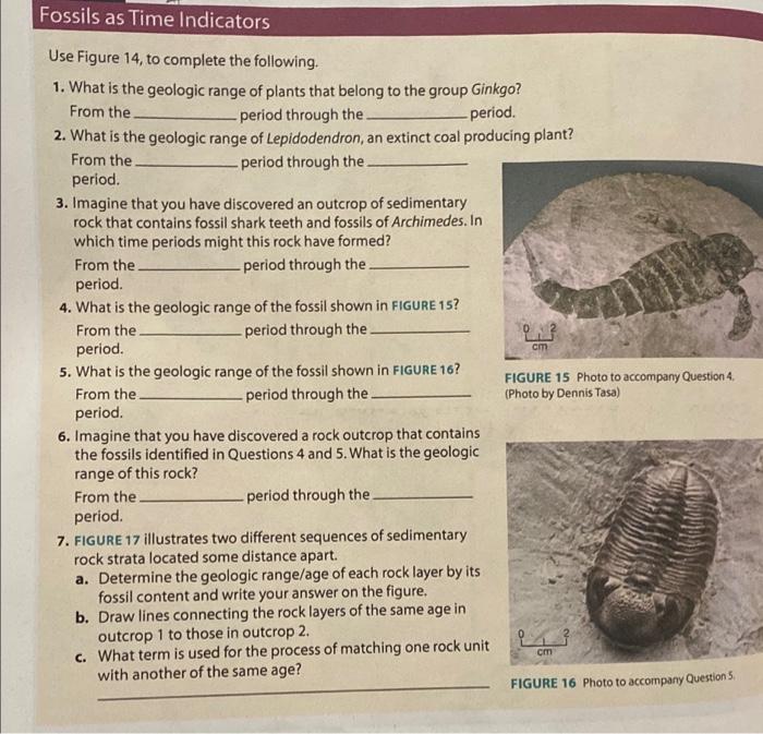 Solved Fossils as Time Indicators cm Use Figure 14, to | Chegg.com