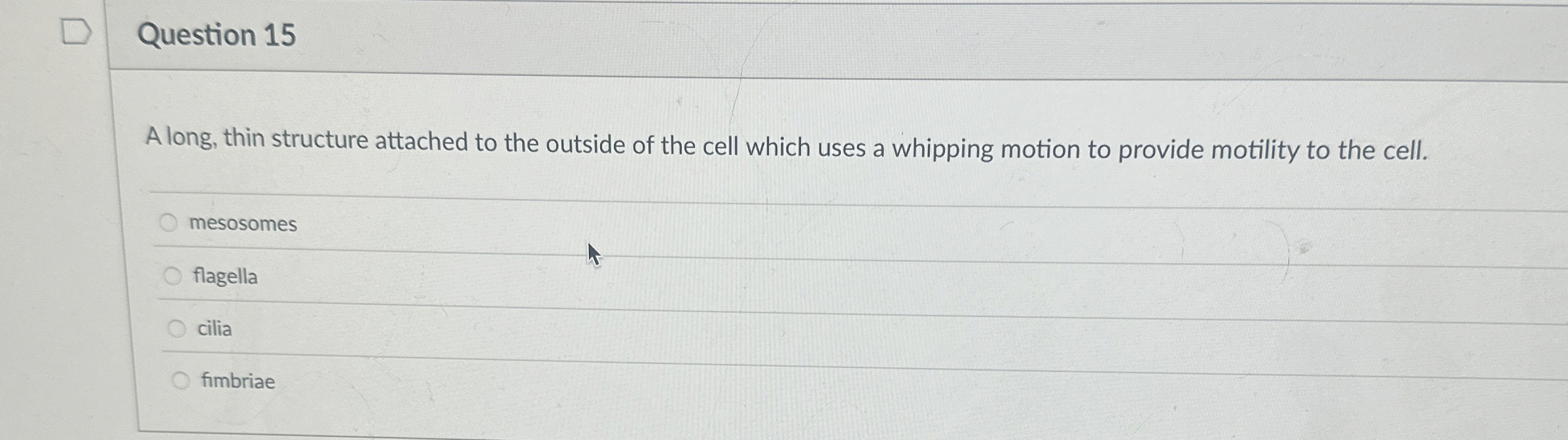 Solved Question 15A long, thin structure attached to the | Chegg.com