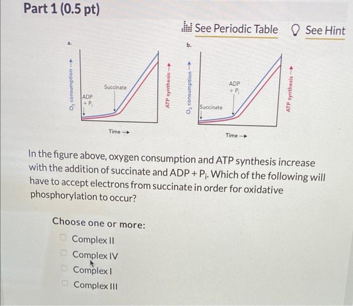 Solved In the figure above, oxygen consumption and ATP | Chegg.com