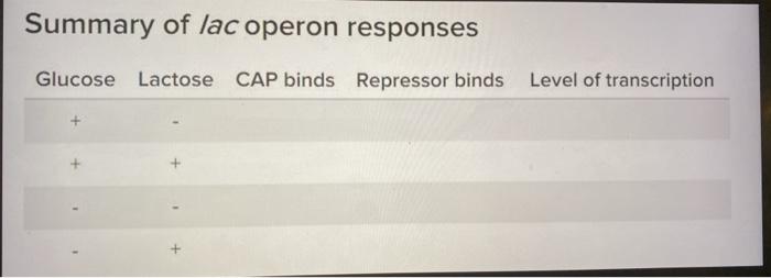 Solved Summary of lac operon responses Glucose Lactose CAP | Chegg.com