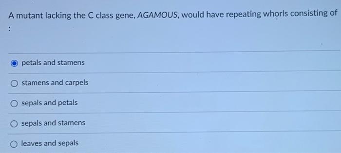 Solved A mutant lacking the C class gene, AGAMOUS, would | Chegg.com Solved A mutant lacking the C class gene, AGAMOUS, would | Chegg.com