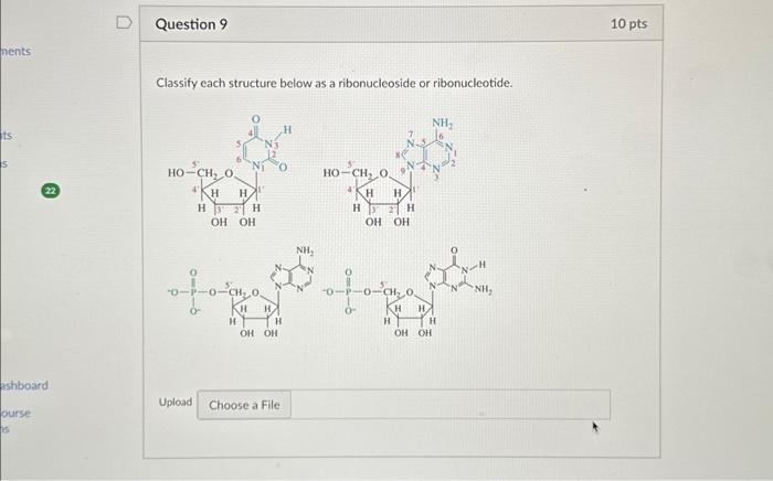 Solved Classify each structure below as a ribonucleoside or | Chegg.com
