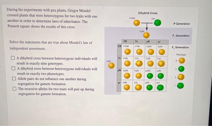 Solved During his experiments with pea plants, Gregor Mendel | Chegg.com