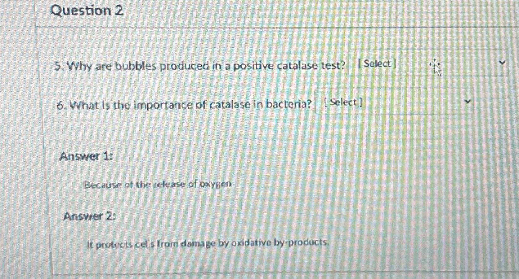 Solved Question 25. ﻿Why are bubbles produced in a positive | Chegg.com