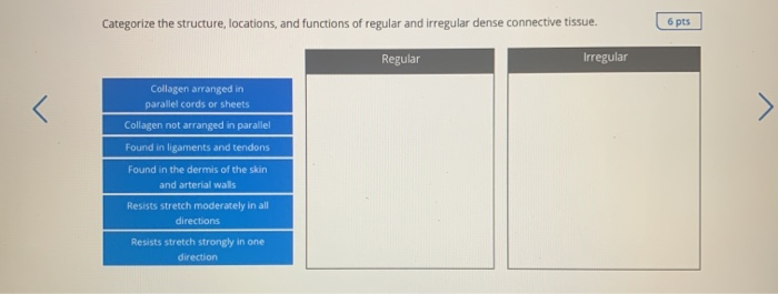 Solved Categorize the structure, locations, and functions of | Chegg.com