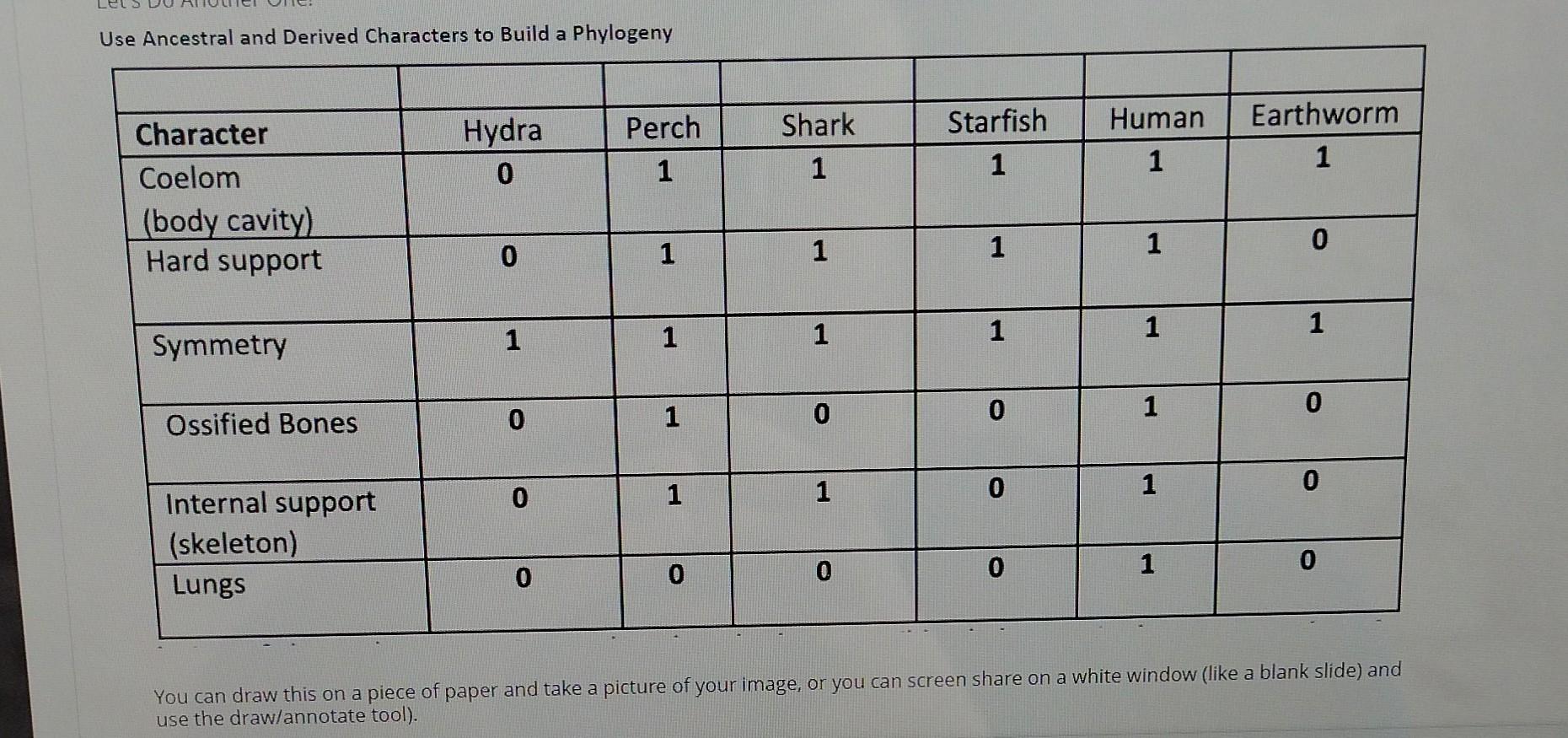 Use Ancestral and Derived Characters to Build a | Chegg.com