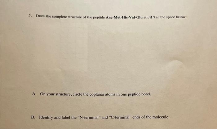 5. Draw the complete structure of the peptide | Chegg.com