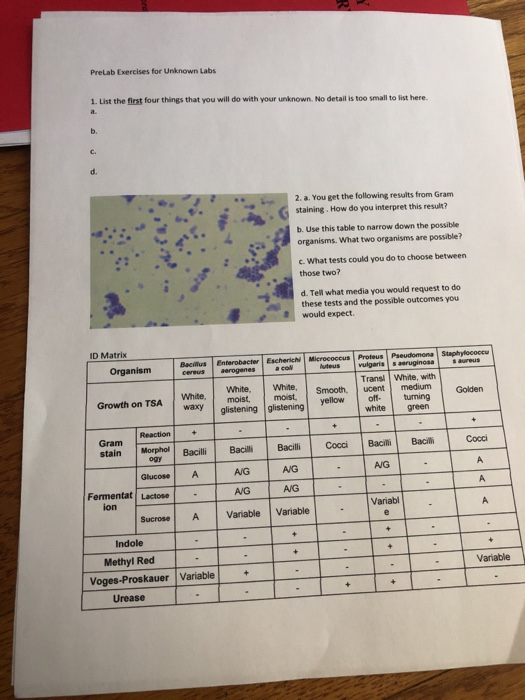 Solved Prelab Exercises for Unknown Labs 1. List the first | Chegg.com