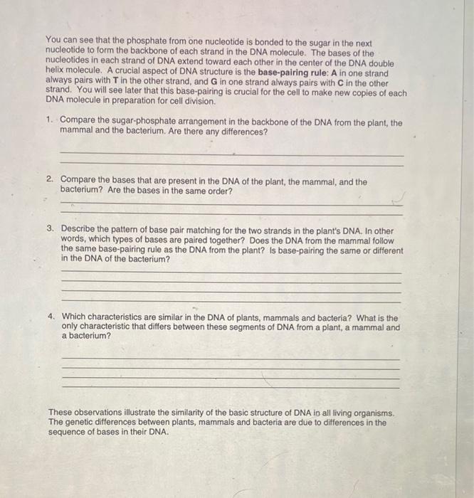 Solved As you can see in the figure below, DNA consists of | Chegg.com