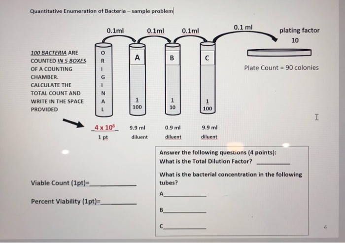Solved Quantitative Enumeration of Bacteria - sample problem | Chegg.com