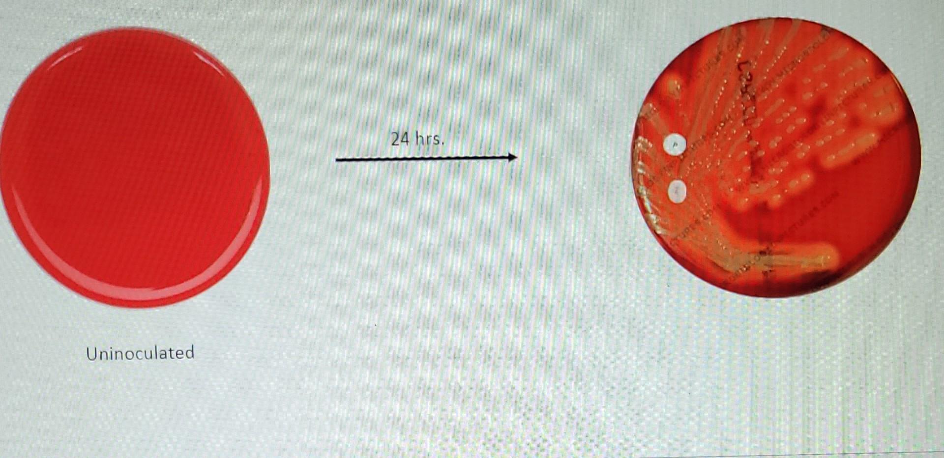 Solved Mixed Unknown Identification Form Unknown 'Patient | Chegg.com