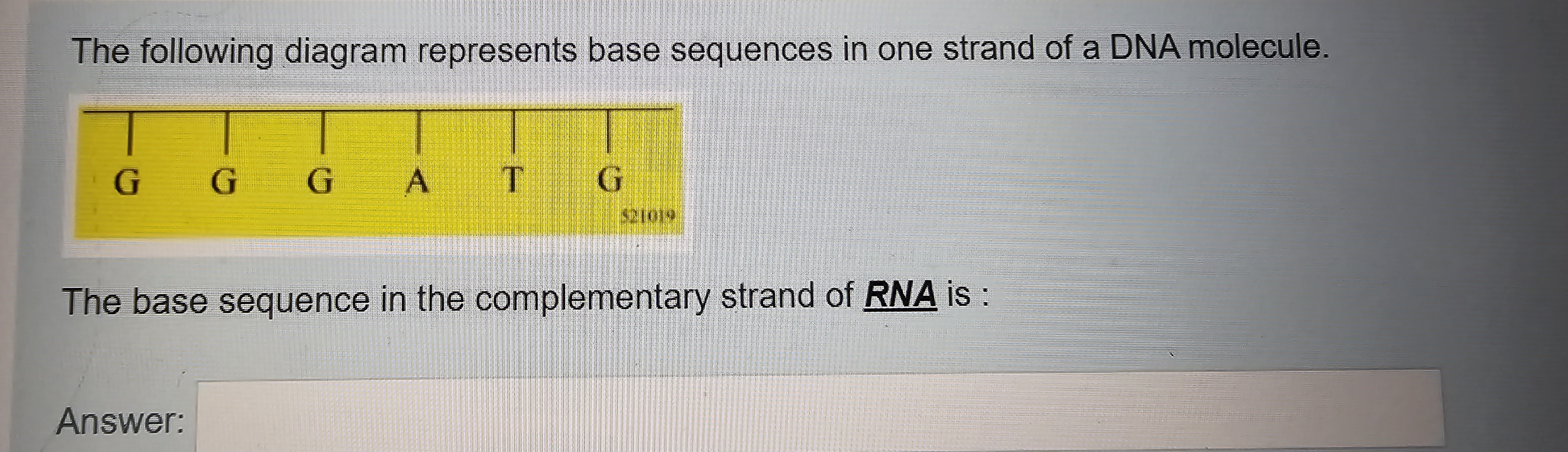 Solved The following diagram represents base sequences in | Chegg.com