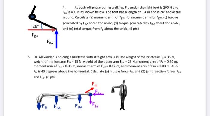 Solved 4. At push-off phase during walking, Fex under the | Chegg.com