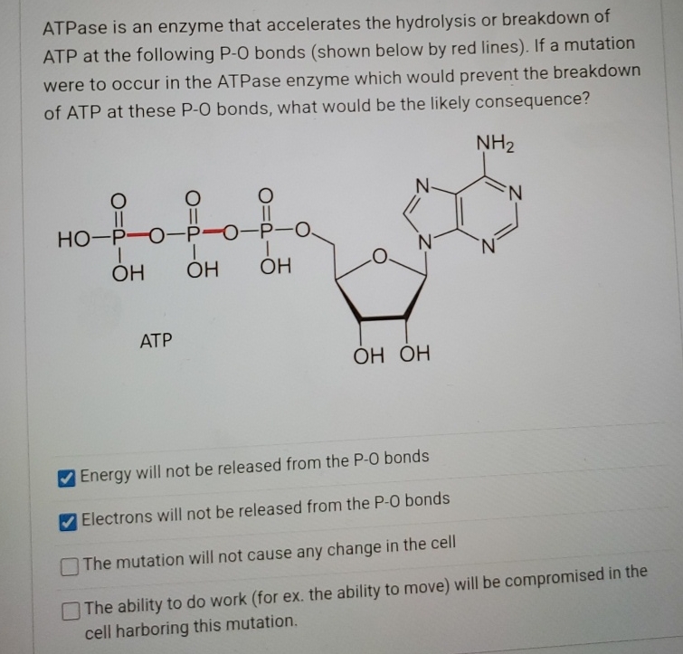 Solved ATPase is an enzyme that accelerates the hydrolysis | Chegg.com