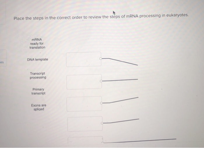 Solved Place the steps in the correct order to review the | Chegg.com