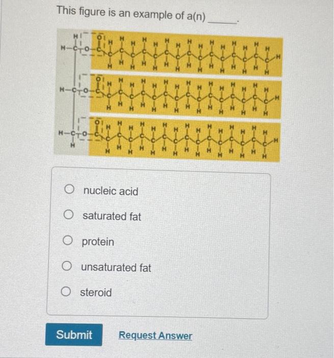 Solved This figure is an example of a(n) nucleic acid | Chegg.com