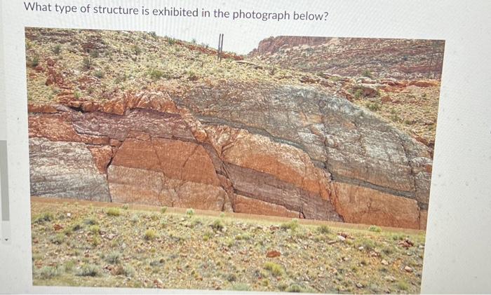 Solved What type of structure is exhibited in the photograph | Chegg.com