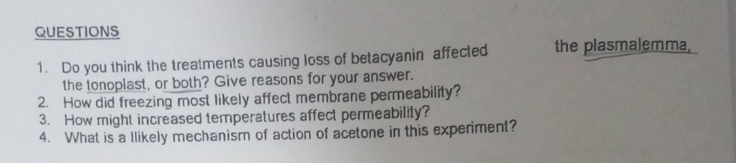 Solved Answer the following questions after conducting | Chegg.com