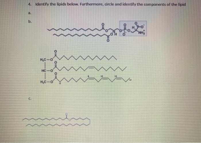 Solved 4. Identify the lipids below. Furthermore, circle and | Chegg.com