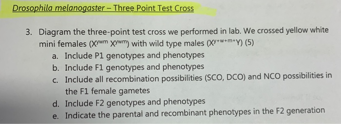 Solved Drosophila melanogaster - Three Point Test Cross 3. | Chegg.com