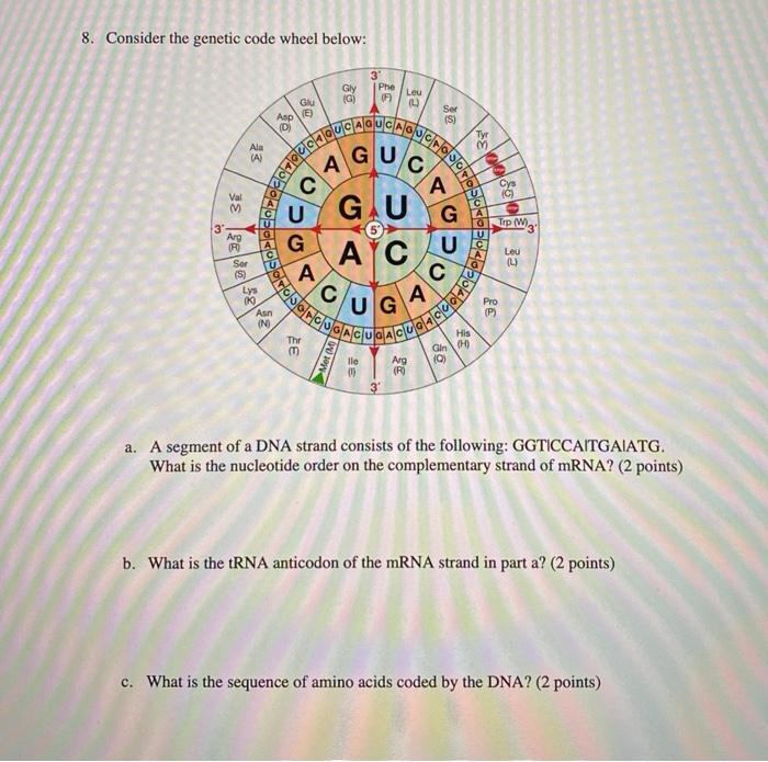 Solved 8. Consider the genetic code wheel below: 3 一。 ago | Chegg.com