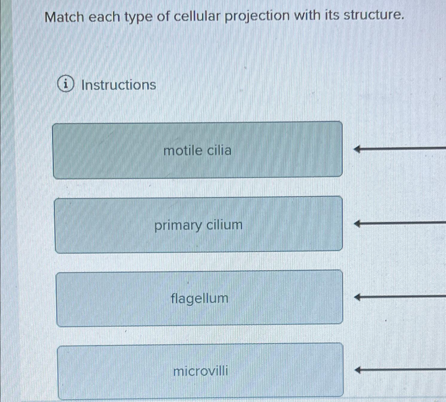 Solved Match each type of cellular projection with its | Chegg.com