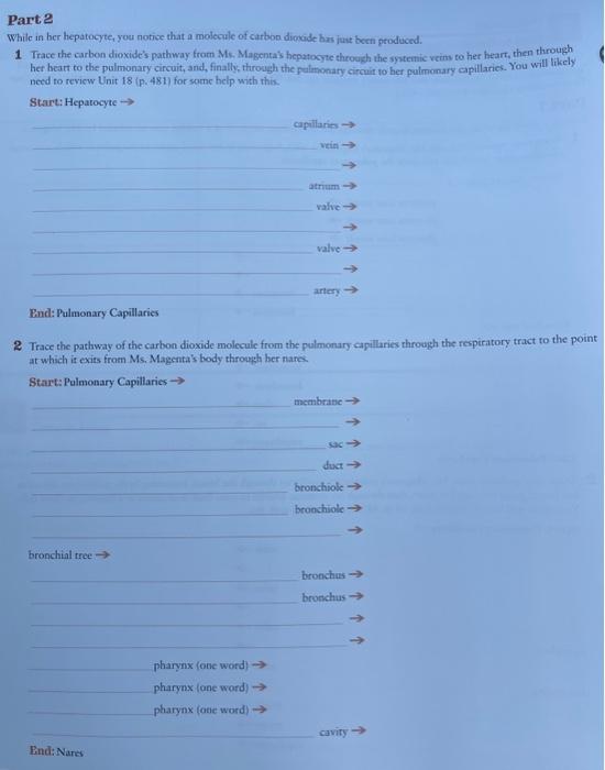 Solved Time to Trace! In this next procedure, you will unace | Chegg.com