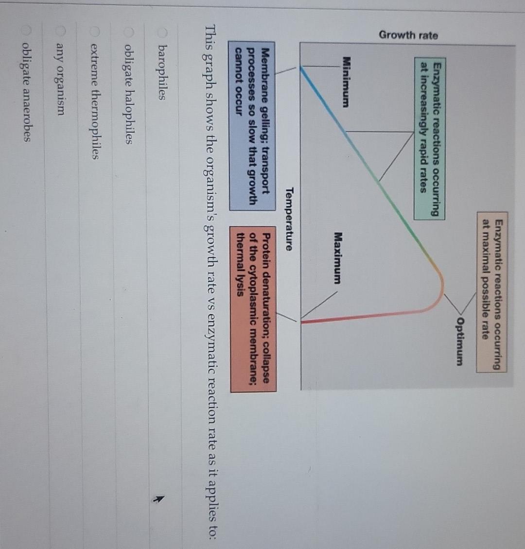 Solved cannot occur This graph shows the organism's growth | Chegg.com