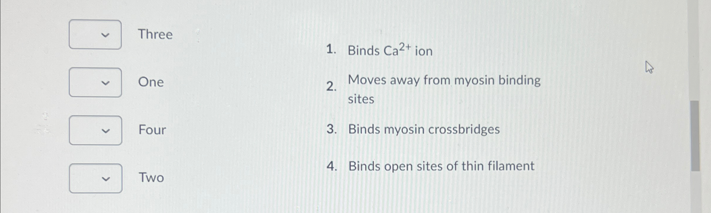 Solved ThreeOneFourTwoBinds Ca2+ ﻿ionMoves away from myosin | Chegg.com