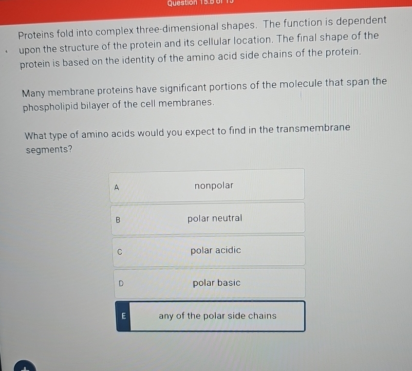 Solved Proteins fold into complex three-dimensional shapes. | Chegg.com