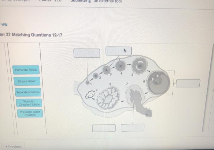 Solved 18 an external tool *HW ter 27 Matching Questions | Chegg.com