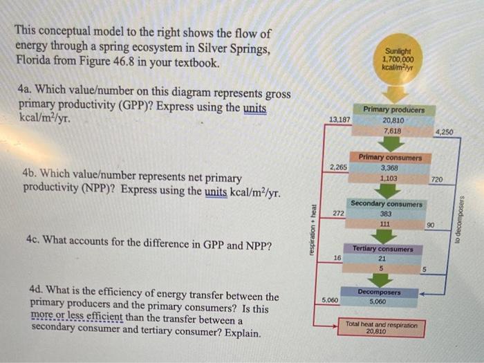 Primary Productivity Diagram
