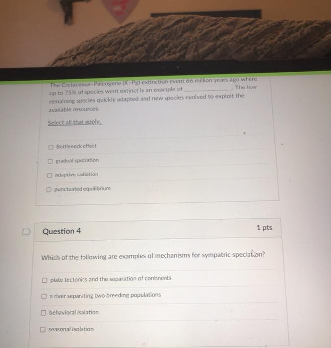 Solved The Cretaceous-Paleogene (K-Pg) extinction event 66 | Chegg.com