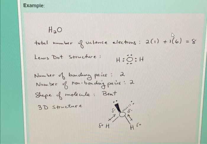 Solved For each molecule, include the following information | Chegg.com
