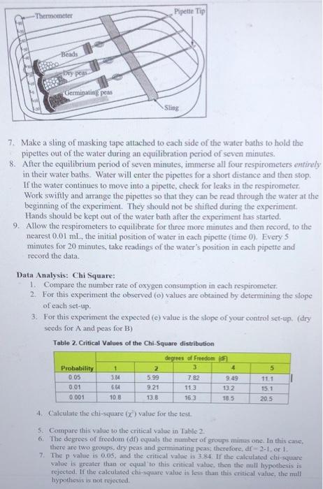 Cellular Processes: Energy and Communication AP Lab | Chegg.com