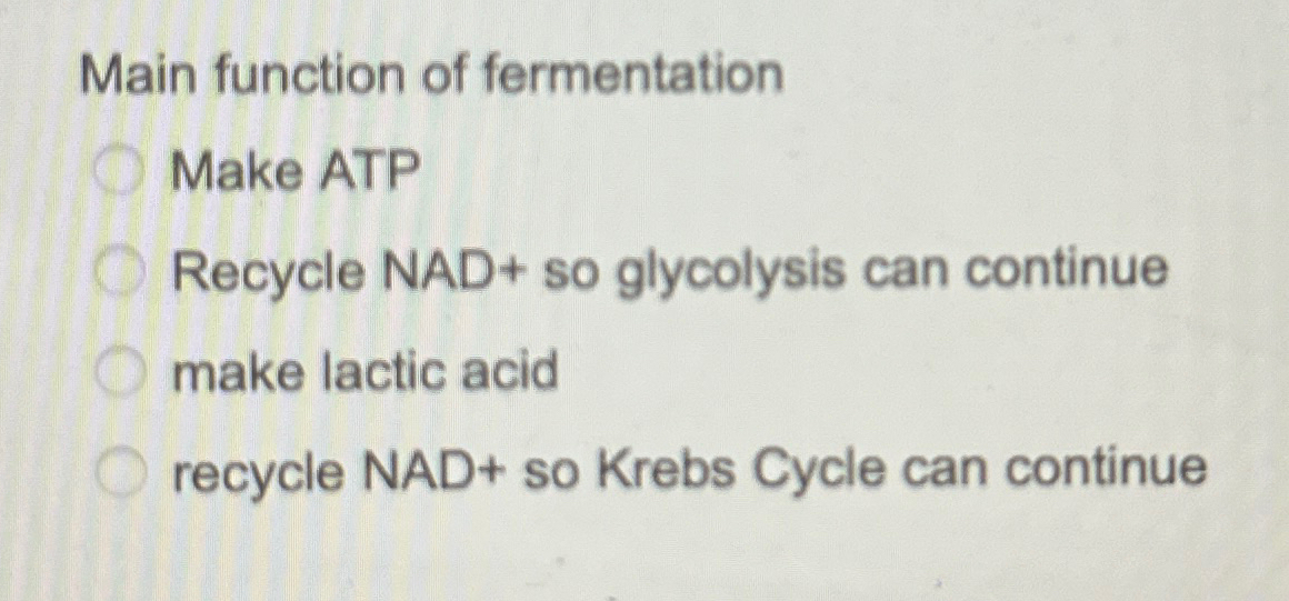 Solved Main function of fermentationMake ATPRecycle NAD+ ﻿so | Chegg.com