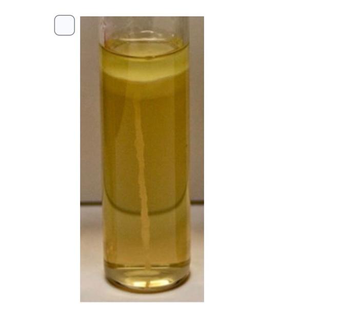 Solved Which bacteria reduce Sulfur? (Select all that | Chegg.com