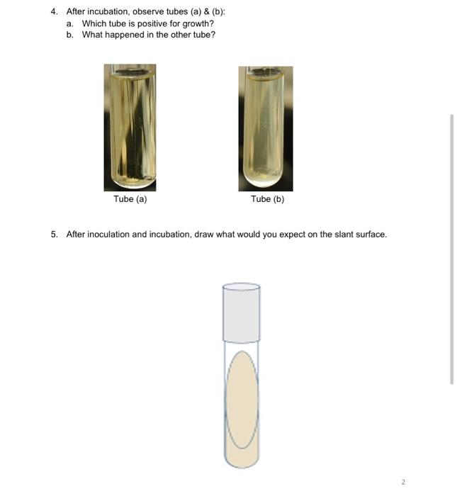 Solved Basic laboratory techniques for isolation, | Chegg.com