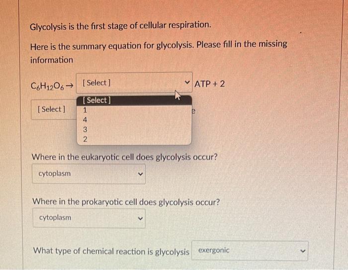 Solved Glycolysis is the first stage of cellular | Chegg.com