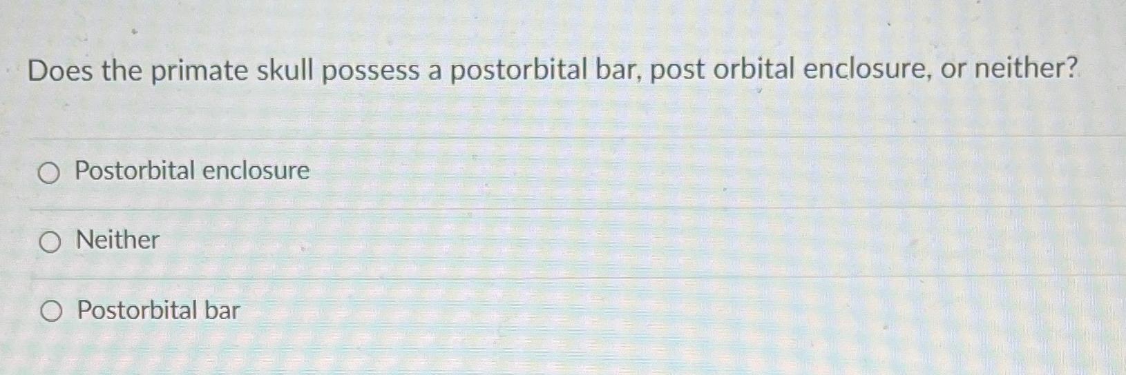 Solved Does the primate skull possess a postorbital bar, | Chegg.com