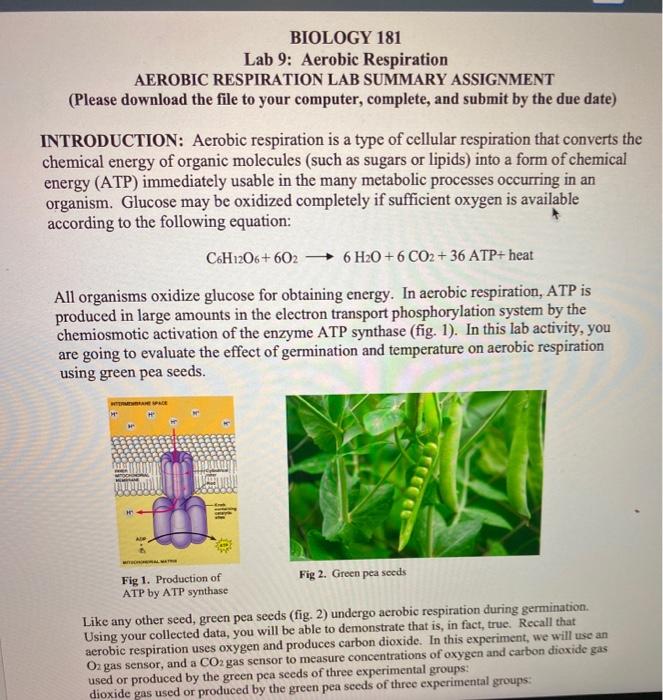 Solved BIOLOGY 181 Lab 9: Aerobic Respiration AEROBIC | Chegg.com