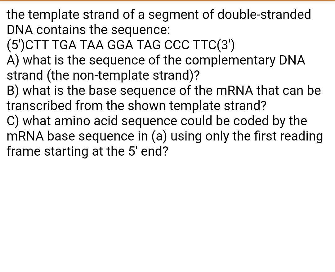 Solved the template strand of a segment of double-stranded | Chegg.com