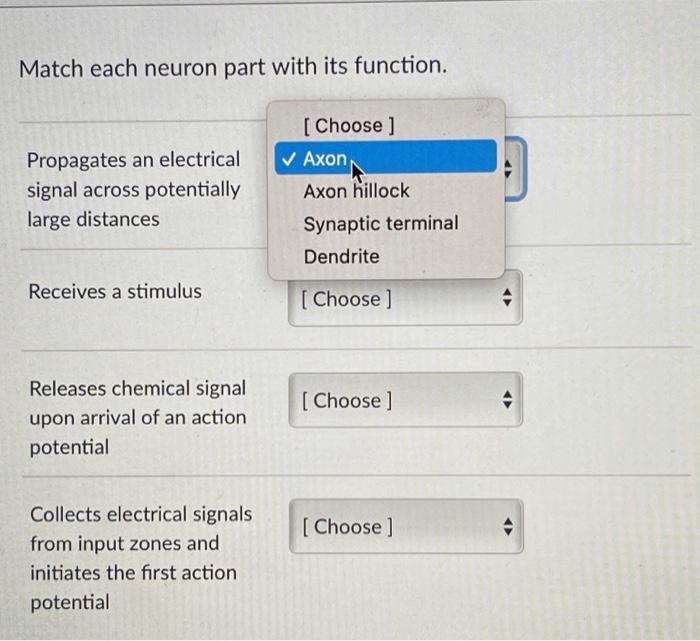 Solved Match each neuron part with its function. Propagates | Chegg.com
