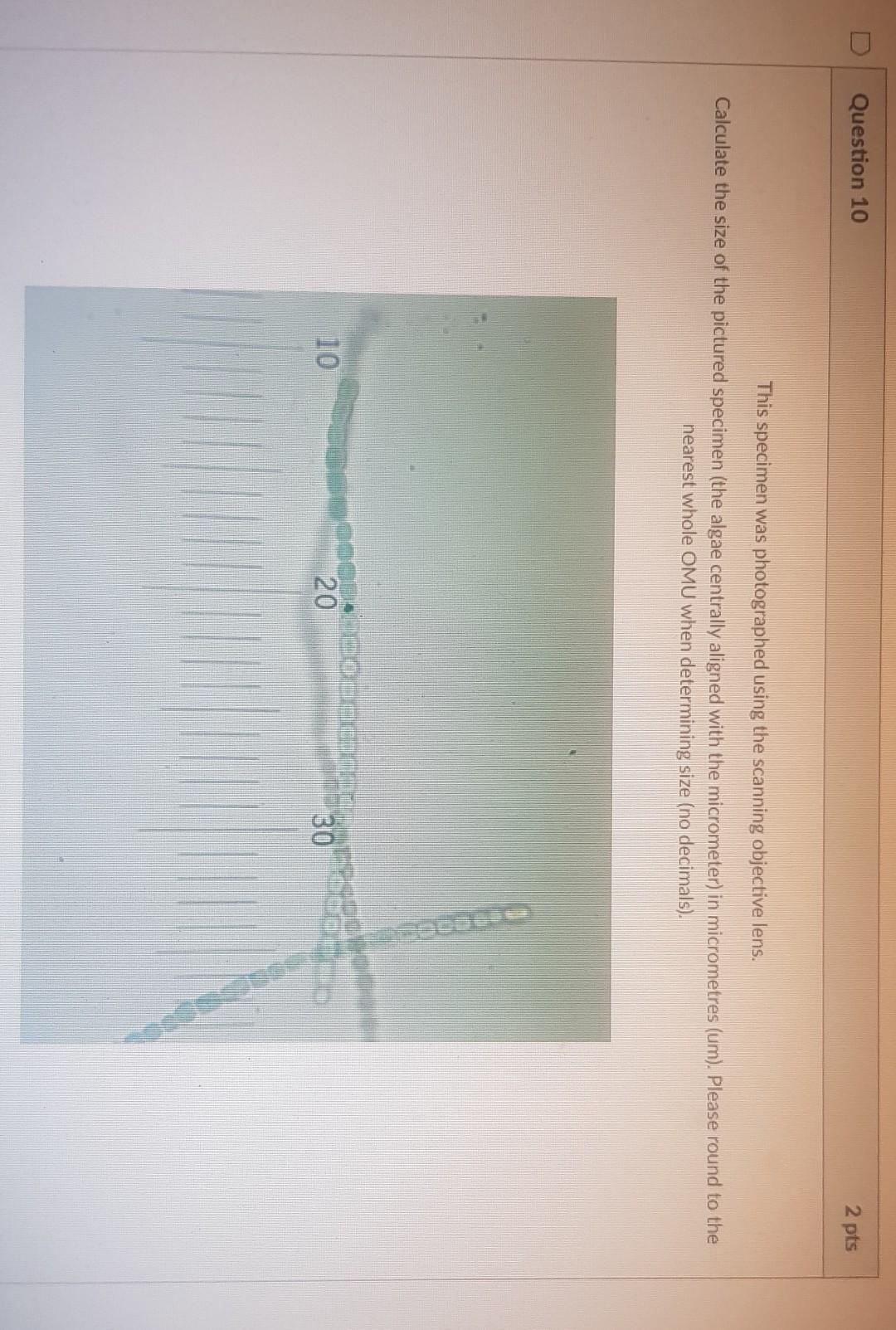 Solved Question 10 2 pts This specimen was photographed | Chegg.com Solved Question 10 2 pts This specimen was photographed | Chegg.com