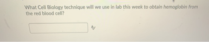 Solved You measure a substance at a wavelength of 595 nm | Chegg.com